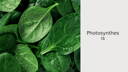 Photosynthesis GCSE Biology | Teaching Resources