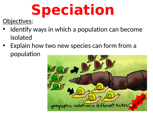 Speciation | Teaching Resources