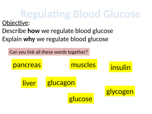 Glucose Regulation | Teaching Resources