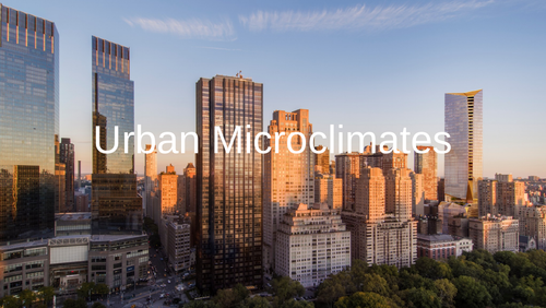 Urban microclimates | Teaching Resources