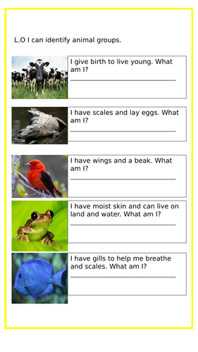 Identifying animal groups | Teaching Resources