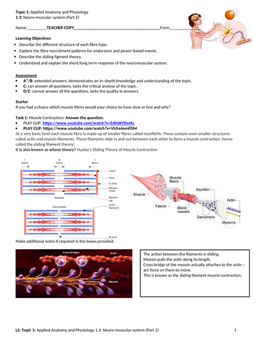 A-level PE EDEXCEL (Spec 2016): 1.3: Neuro-muscular system (part 2 ...
