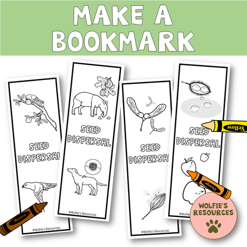 Seed Dispersal KS2 | Teaching Resources