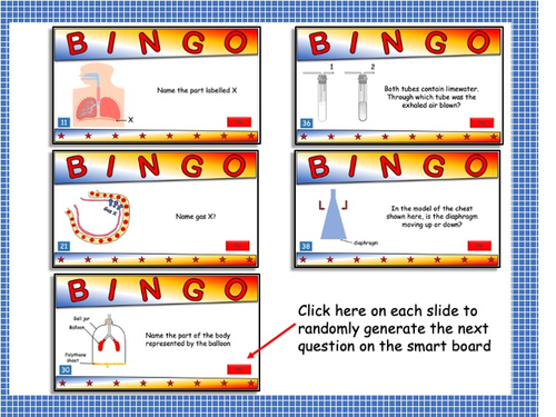 Breathing and the Respiratory System - Smart Board Bingo KS3 | Teaching ...