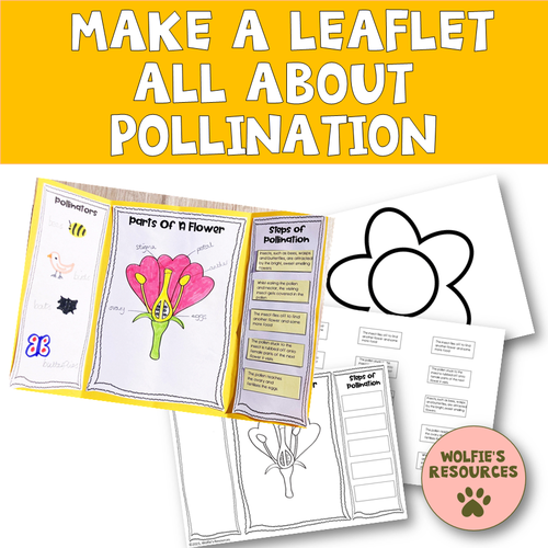 Pollination Activities and Power Point KS2 | Teaching Resources