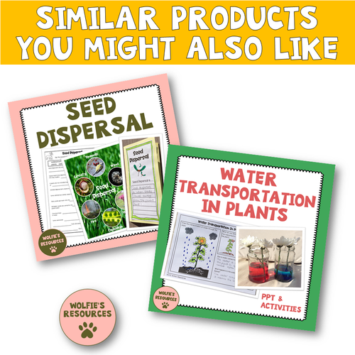 Pollination Activities and Power Point KS2 | Teaching Resources