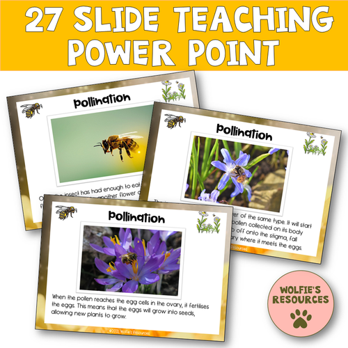 Pollination Activities and Power Point KS2 | Teaching Resources