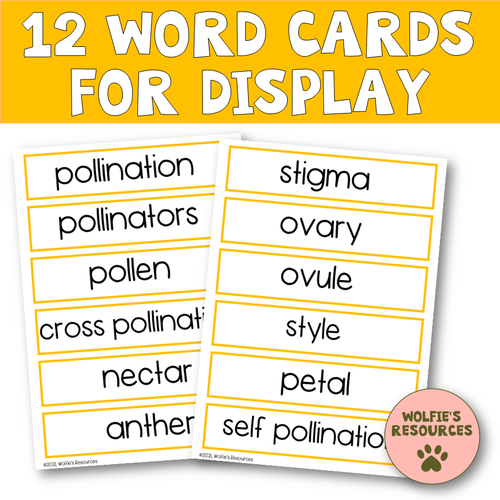 Pollination Activities and Power Point KS2 | Teaching Resources