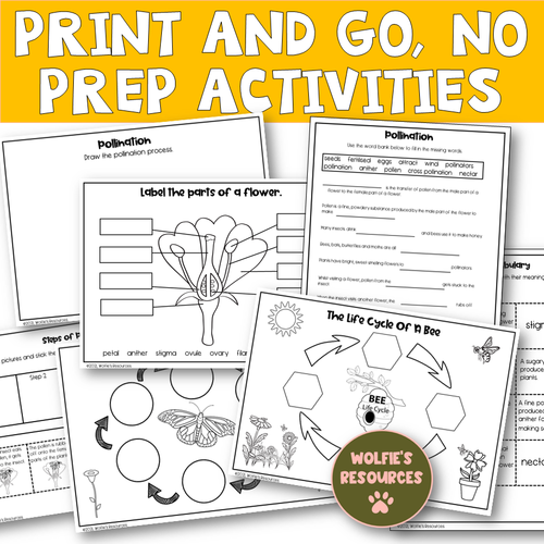 Pollination Activities and Power Point KS2 | Teaching Resources