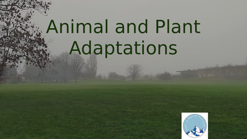 PLANTS AND ANIMALS ADAPTATIONS full lesson | Teaching Resources