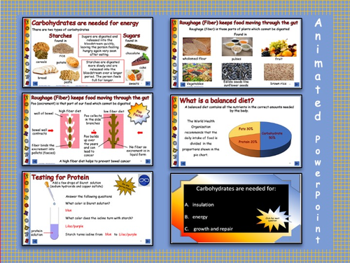Food Groups, Nutrition & Food Types - Fully Resourced Lesson KS3 ...