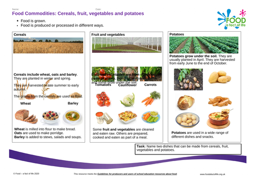 Cereals, fruit, vegetables and potatoes Knowledge Organiser 5-7 years | Teaching Resources