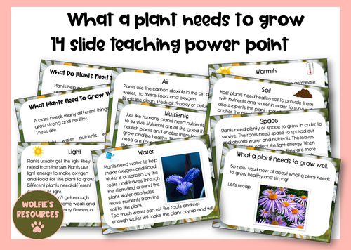 What A Plant Needs To Grow | Teaching Resources