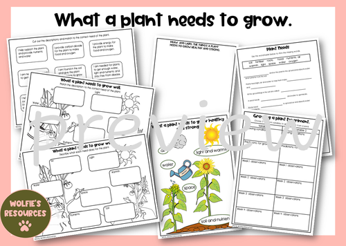 What A Plant Needs To Grow | Teaching Resources
