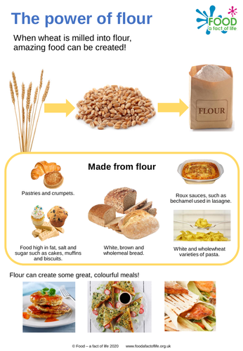 The power of flour poster | Teaching Resources