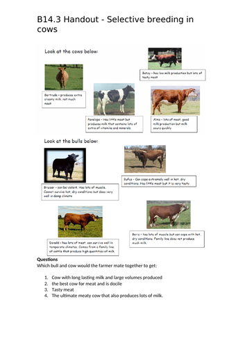 AQA GCSE Biology (9-1) B14.3 Selective breeding - FULL LESSON ...