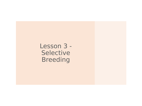 AQA GCSE Biology (9-1) B14.3 Selective breeding - FULL LESSON ...