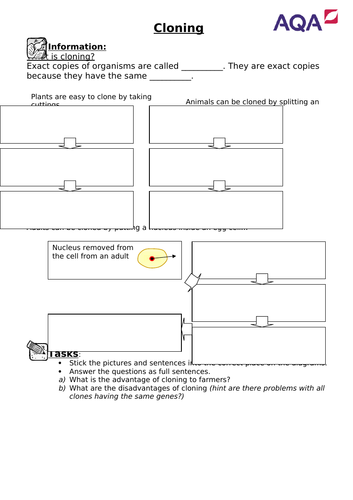 AQA GCSE Biology (9-1) B14.5 Cloning - FULL LESSON | Teaching Resources