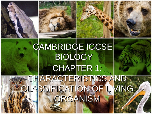 Unit 1 : Characteristics and classification of living organism (IGCSE Biology) | Teaching Resources