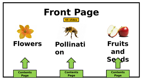Flowers, Pollination, Fruits & Seeds - 65-slide PowerPoint with ...