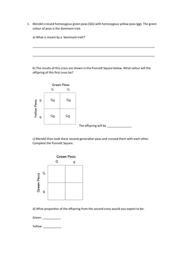 The Work of Mendel Slides and Worksheet (GCSE Biology AQA) | Teaching ...