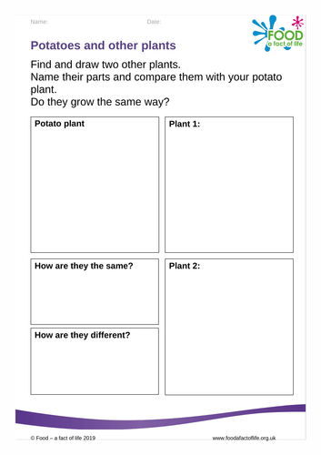 Potatoes and other plants | Teaching Resources