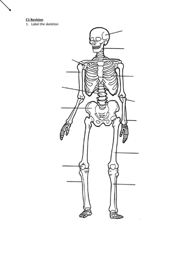 IGCSE PE CIE C1 Revision Workbook | Teaching Resources