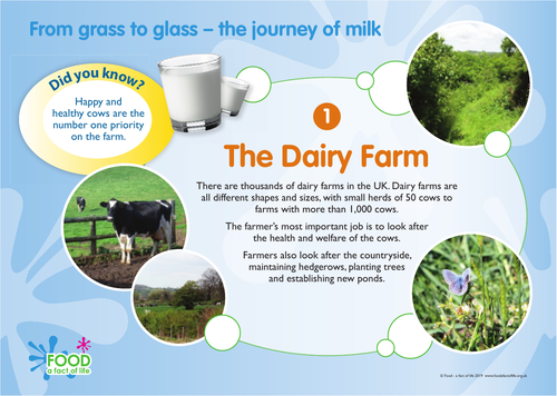 The journey of milk frieze | Teaching Resources