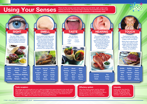 Using your senses poster | Teaching Resources