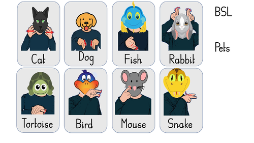 31 British Sign Language, animal, flashcards | Teaching Resources