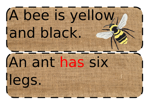 Sentences for phase 2/3 - EYFS | Teaching Resources