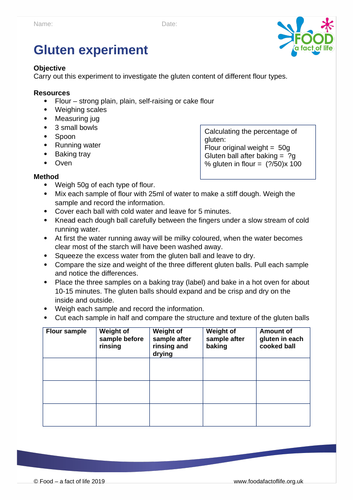 Gluten experiment worksheet | Teaching Resources
