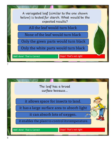 GCSE Science- Photosynthesis Starter/Plenary Quiz | Teaching Resources
