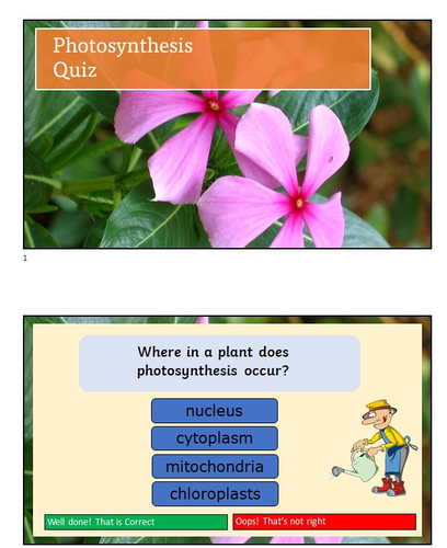 GCSE Science- Photosynthesis Starter/Plenary Quiz | Teaching Resources