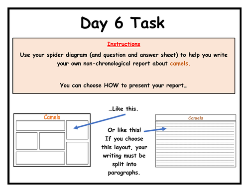 Year 3 Non-chronological reports - PowerPoint and Worksheets | Teaching ...