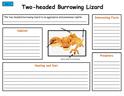 Year 3 Non-chronological reports - PowerPoint and Worksheets | Teaching ...