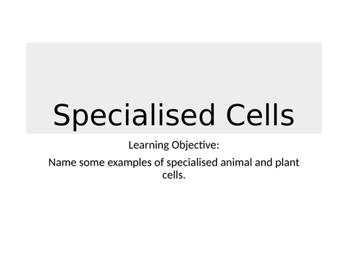 Specialised Cells | Teaching Resources