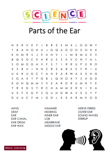 Parts of the Ear Science Activity - Word Search Finder Game Vocabulary ...