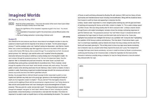 The Lovely Bones Revision | Teaching Resources