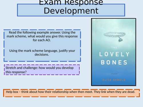 The Lovely Bones Revision | Teaching Resources
