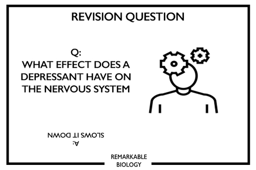 Biology Display Revision Wall | Teaching Resources