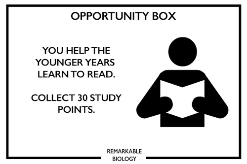 Biology Display Revision Wall | Teaching Resources
