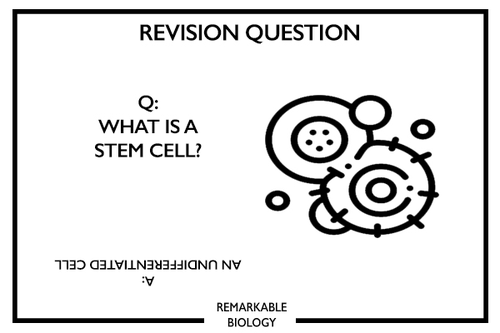 Biology Display Revision Wall | Teaching Resources