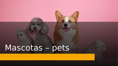 Pets in Spanish | Teaching Resources