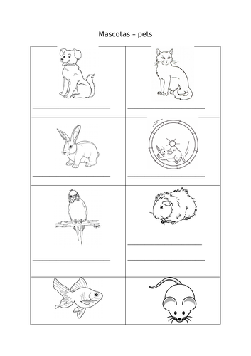 Pets in Spanish | Teaching Resources