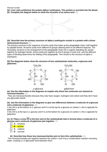 Biological Molecules Full Lesson | Teaching Resources