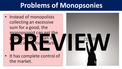 3.4.6 Monopsony - Theme 3 Edexcel A Level Economics | Teaching Resources