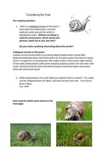 Y7 Animal Poetry Scheme of Work | Teaching Resources