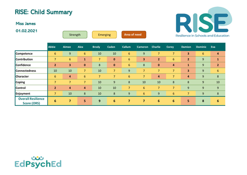 RISE Assessment: Resilience and Wellbeing | Teaching Resources