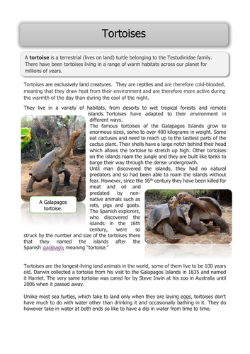 Wild Animals -KS2- 8 different reading comprehension texts | Teaching ...